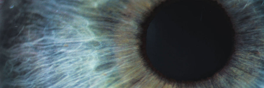 optomap® Retinal Imaging – Richmond Centre Optometry