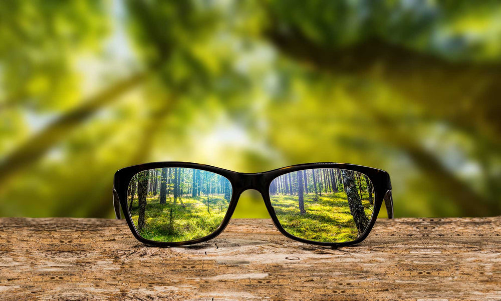 Richmond Centre Optometry